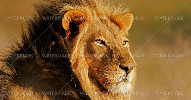 pv_8 - LLOG S.A. de C.V. - Pruebas No Destructivas