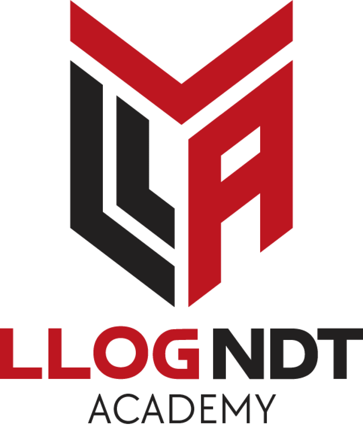 DA512 - Transductor dual de 7.5 Mhz. - LLOG S.A. de C.V. - Pruebas No ...